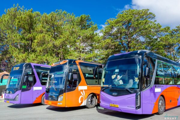 5 Xe Giường Nằm Đôi Sài Gòn - Đà Lạt Tốt Nhất 2025 - Venus Limousine